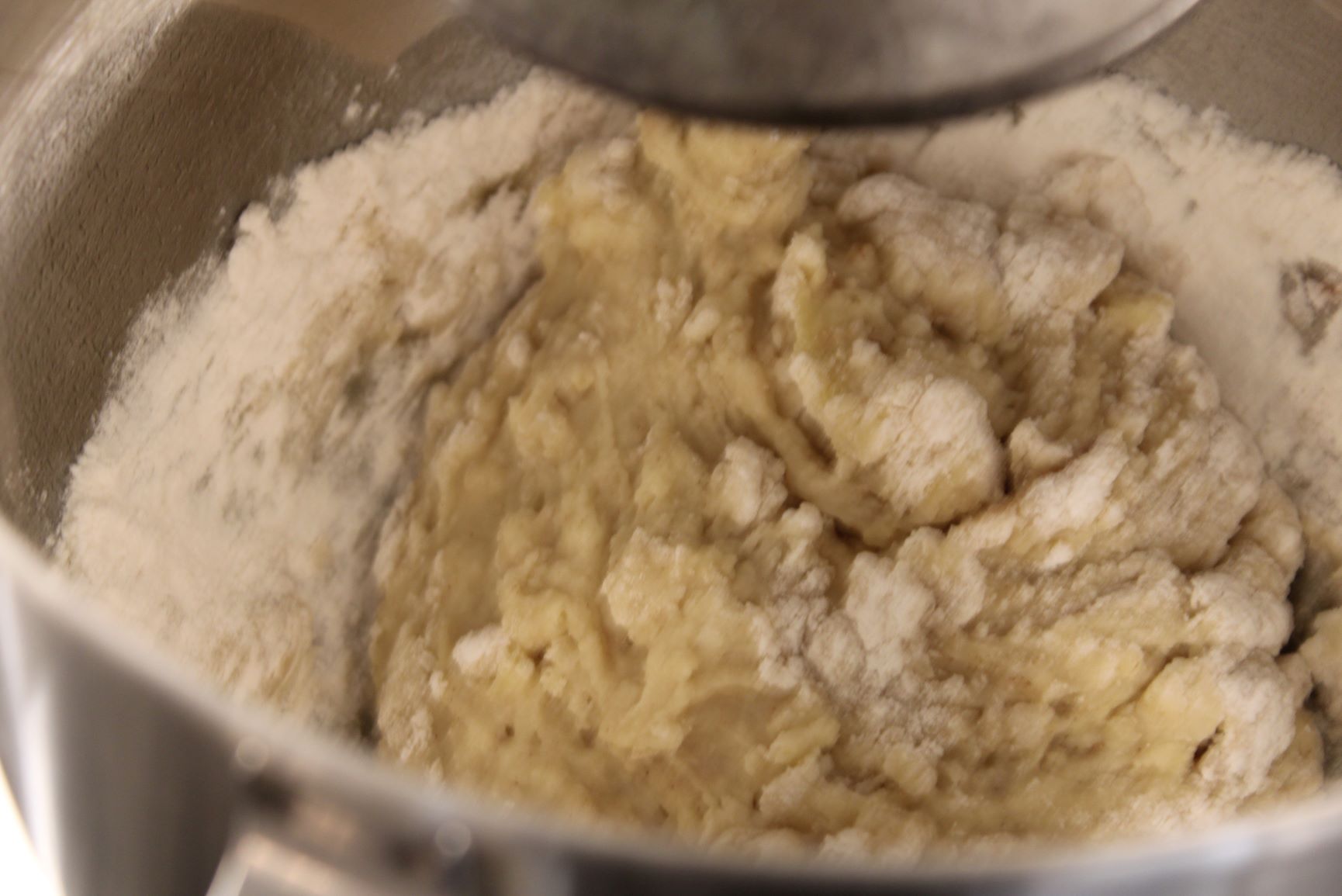Zwieback – Nan Cooks the Books